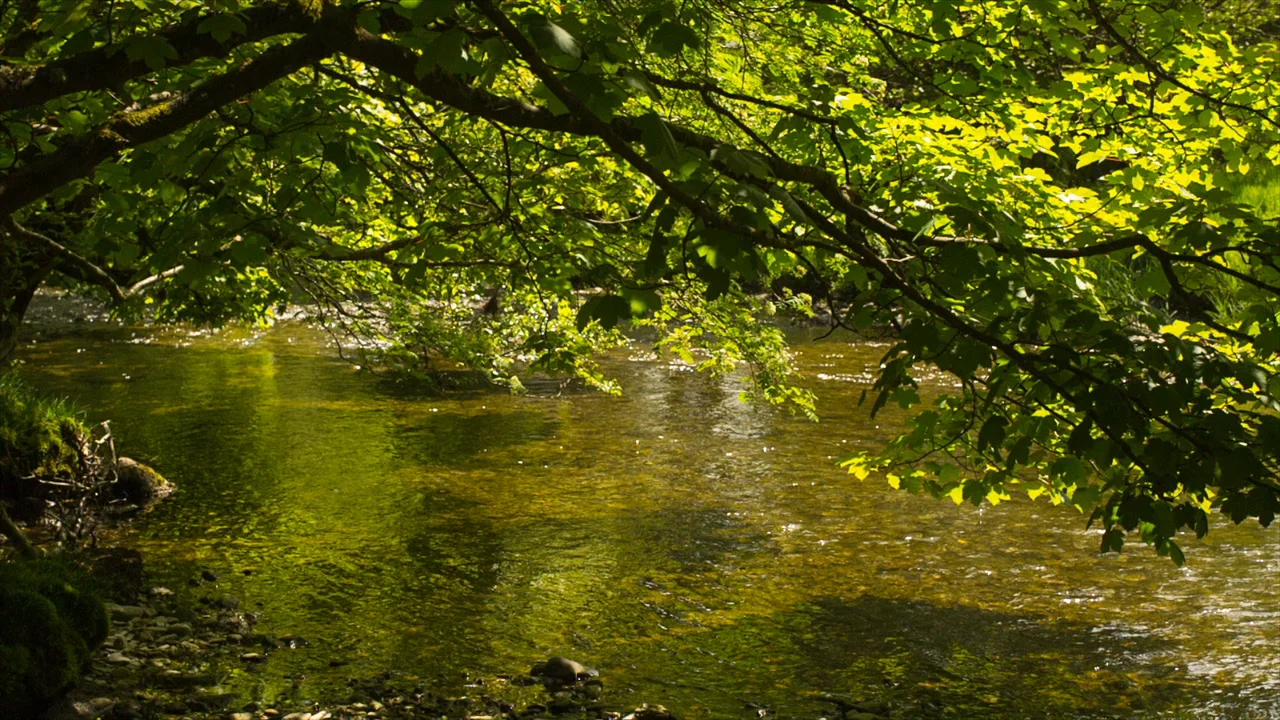 Fly fishing in June on Vimeo