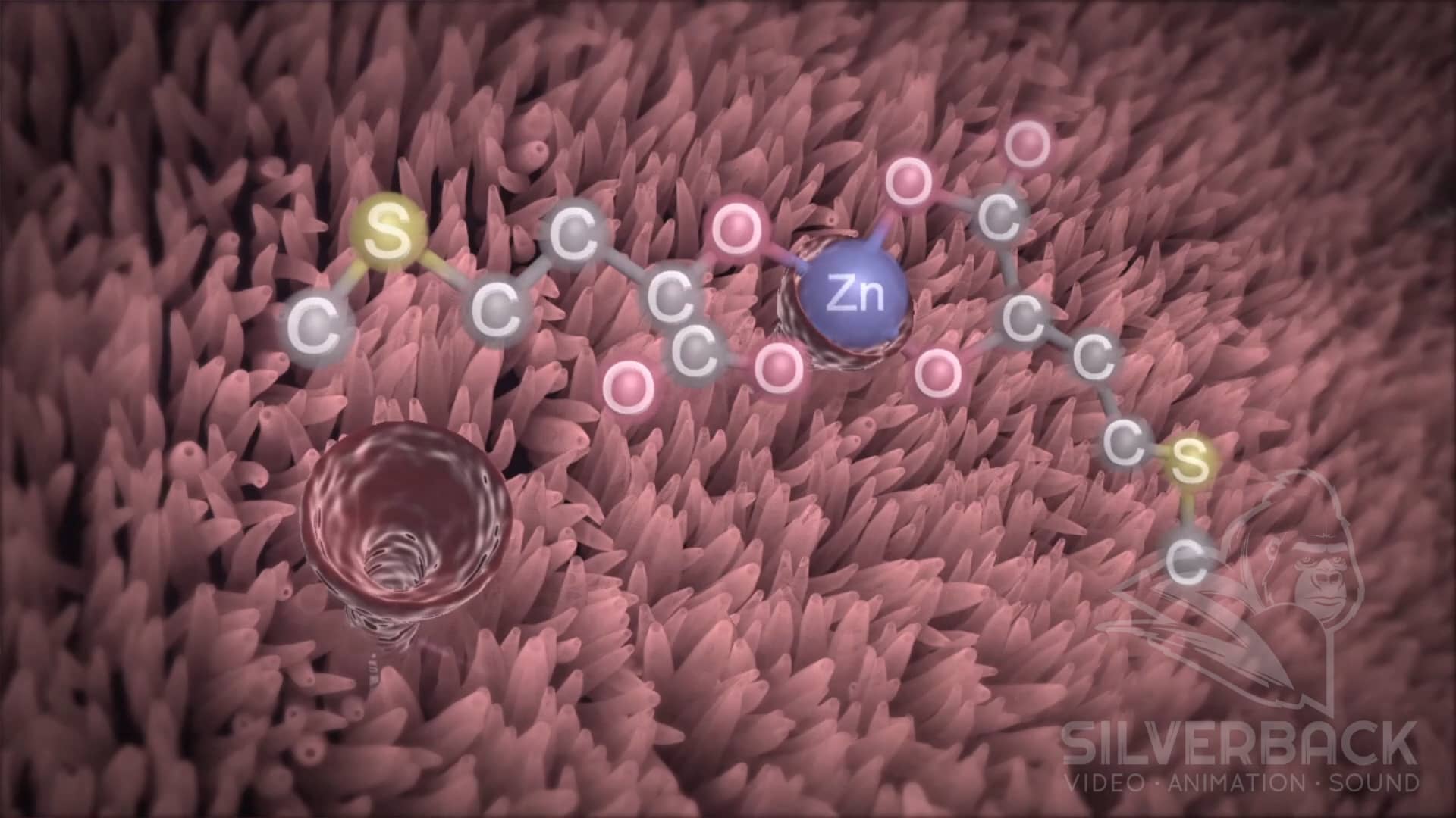 Pharma and Biotech - 3D Medical Animation Reel on Vimeo