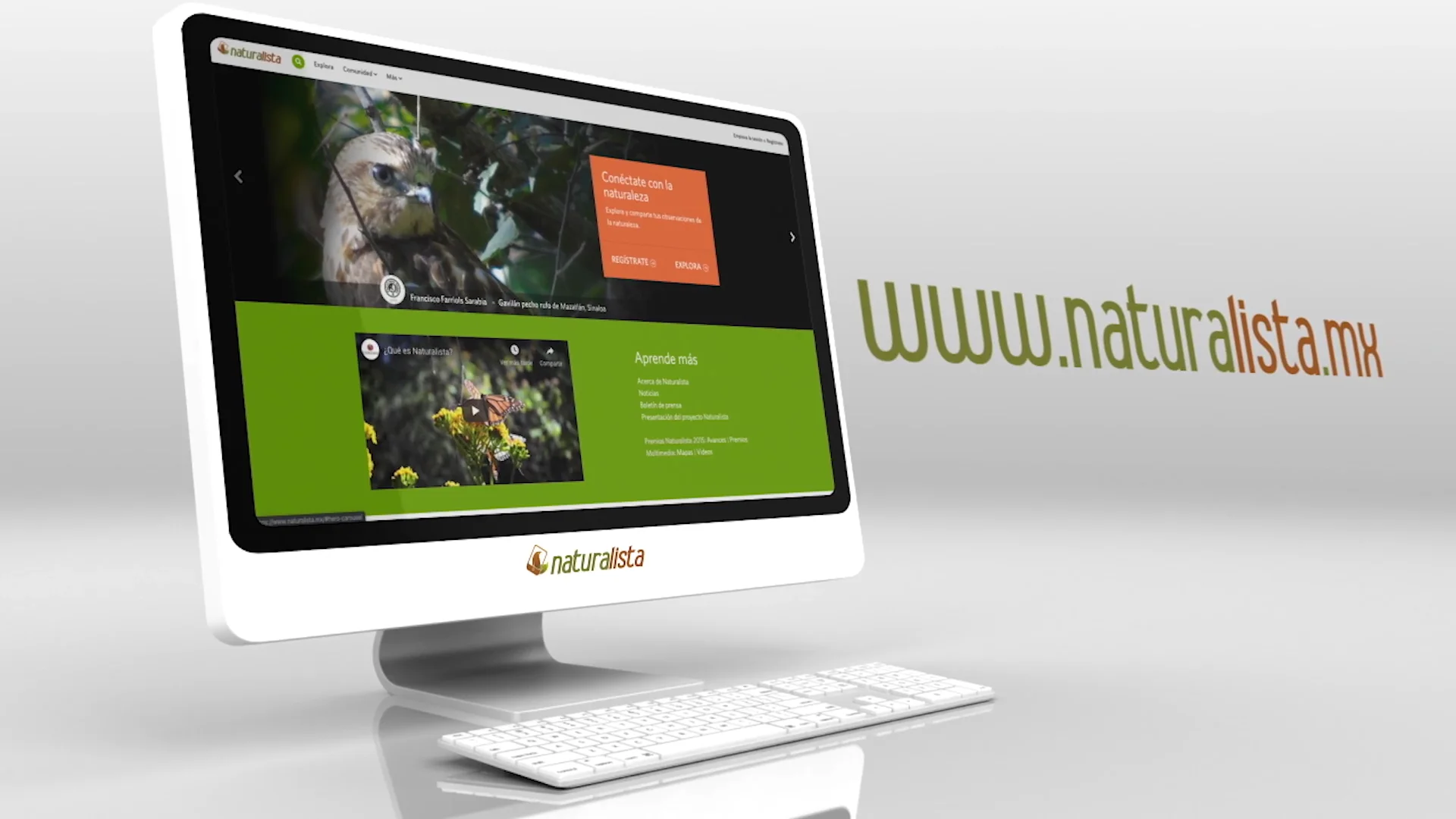 Naturalista_2019 on Vimeo