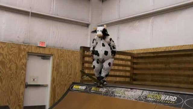 Skateboard Cow rides the mini ramp! on Vimeo