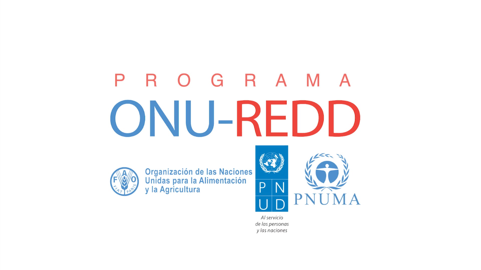 Programa ONU-REDD on Vimeo