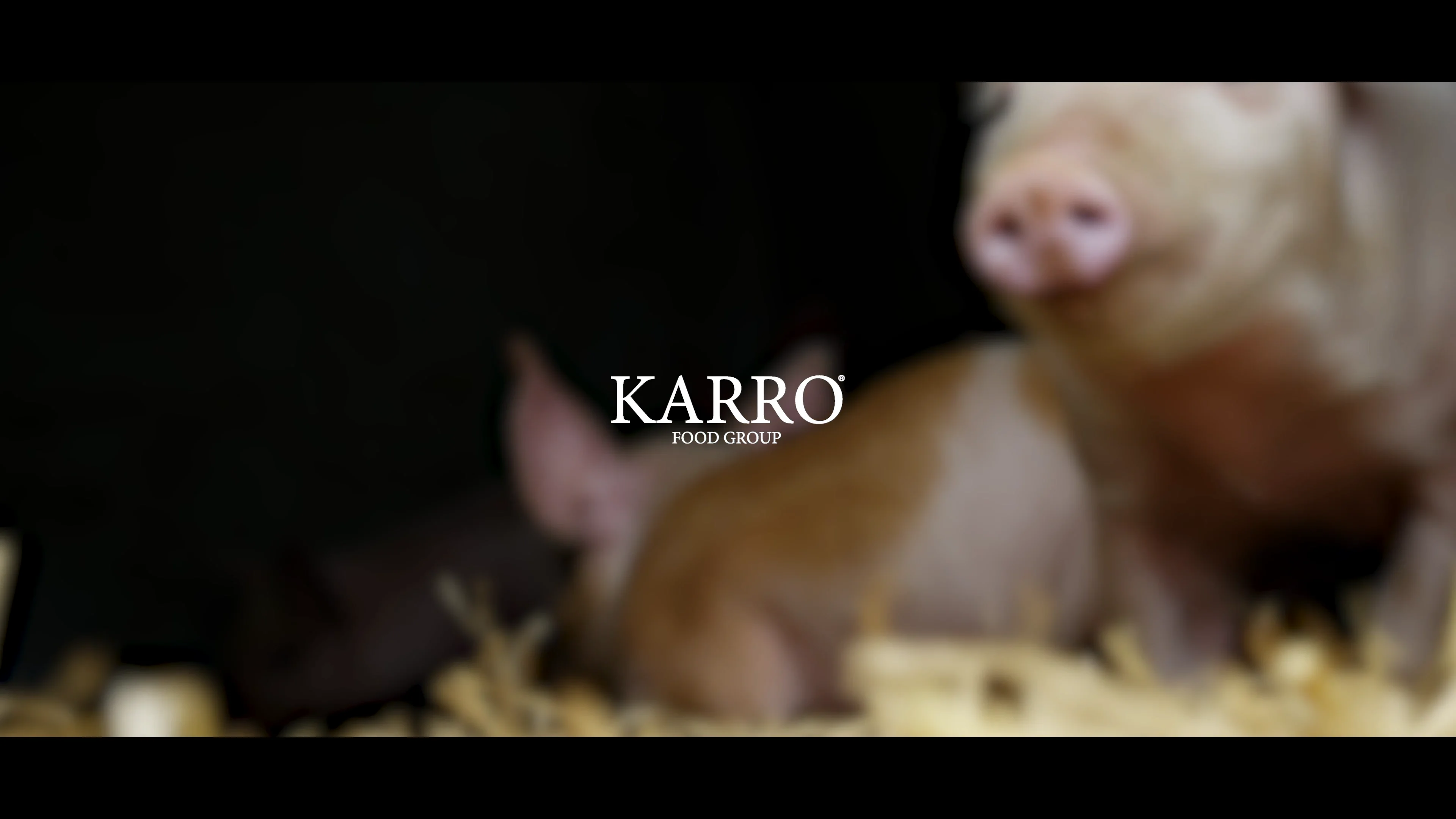 Karro Food Group Company Overview