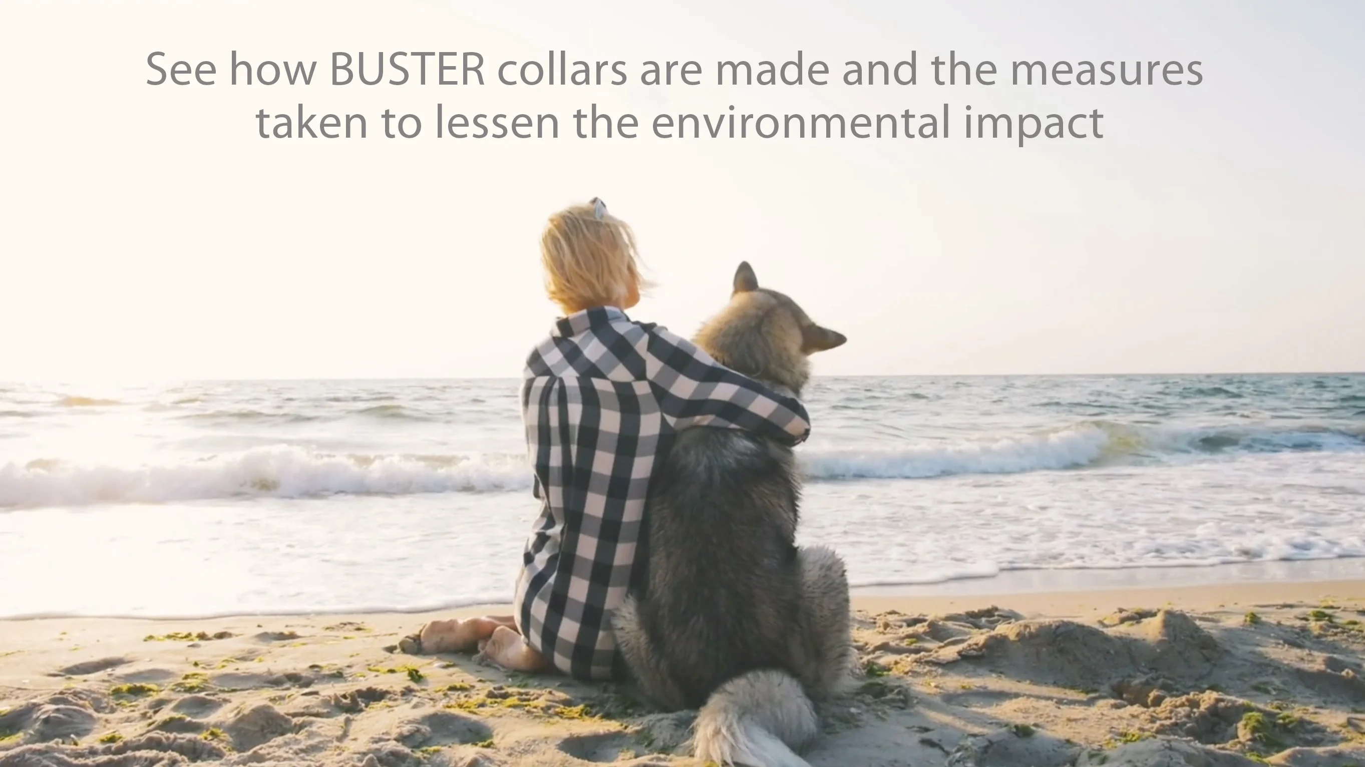 Video to web & download - Peek into the production of BUSTER collars on ...