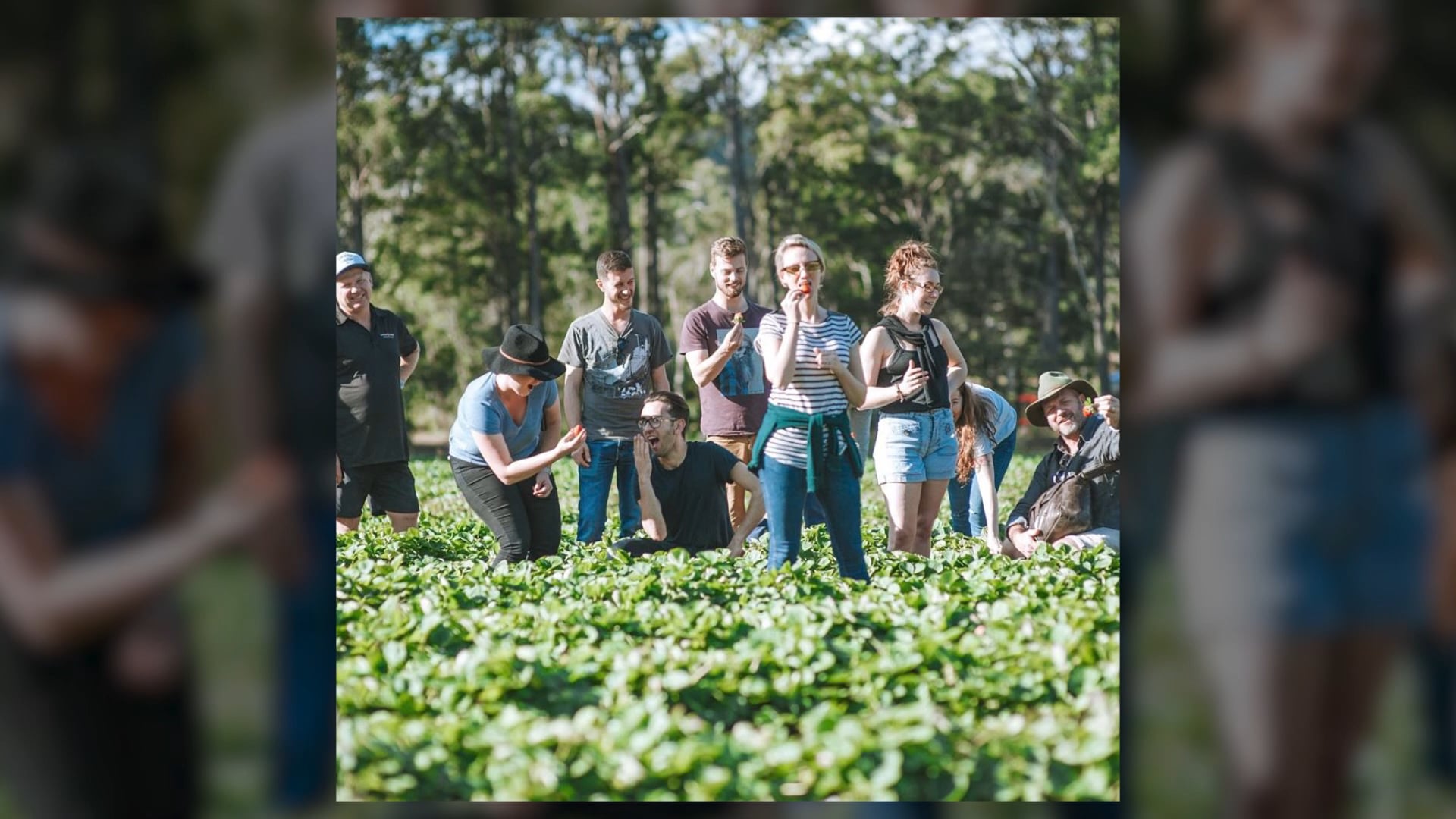 Cooloola Berries | Videos & Movies on Vimeo