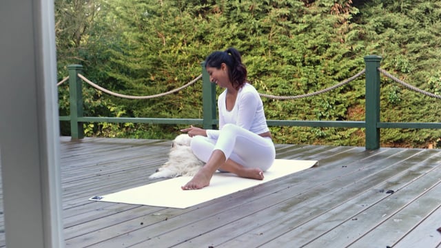 Dr Alka Patel - The Health Hacktivation Doctor - Longevity Concierge