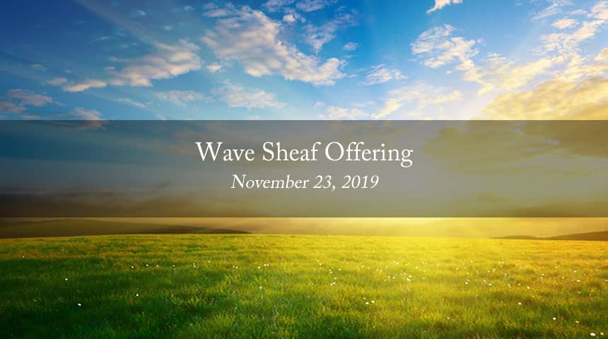 Wave Sheaf Offering on Vimeo