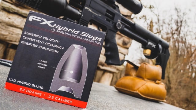 FX Hybrid Slugs / 22 Grains / .22 Caliber 100, 200, + 300 Yard ...