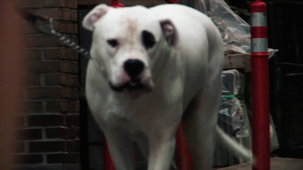 ISLA CRAIG - Blessed on Vimeo