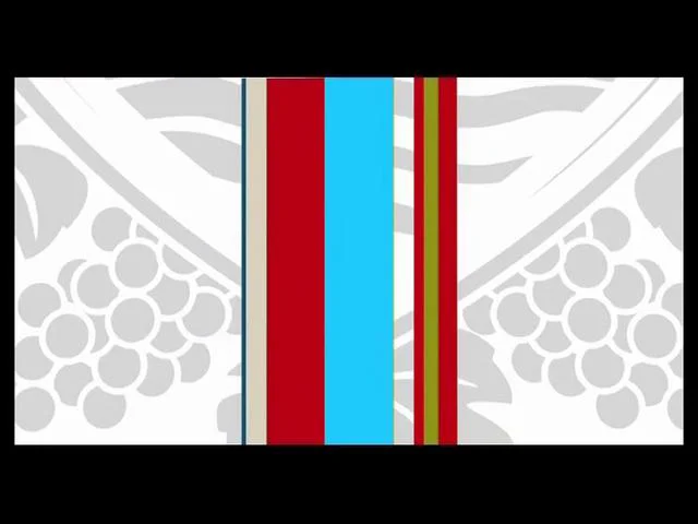 ALSA 2010 Montage v3 on Vimeo