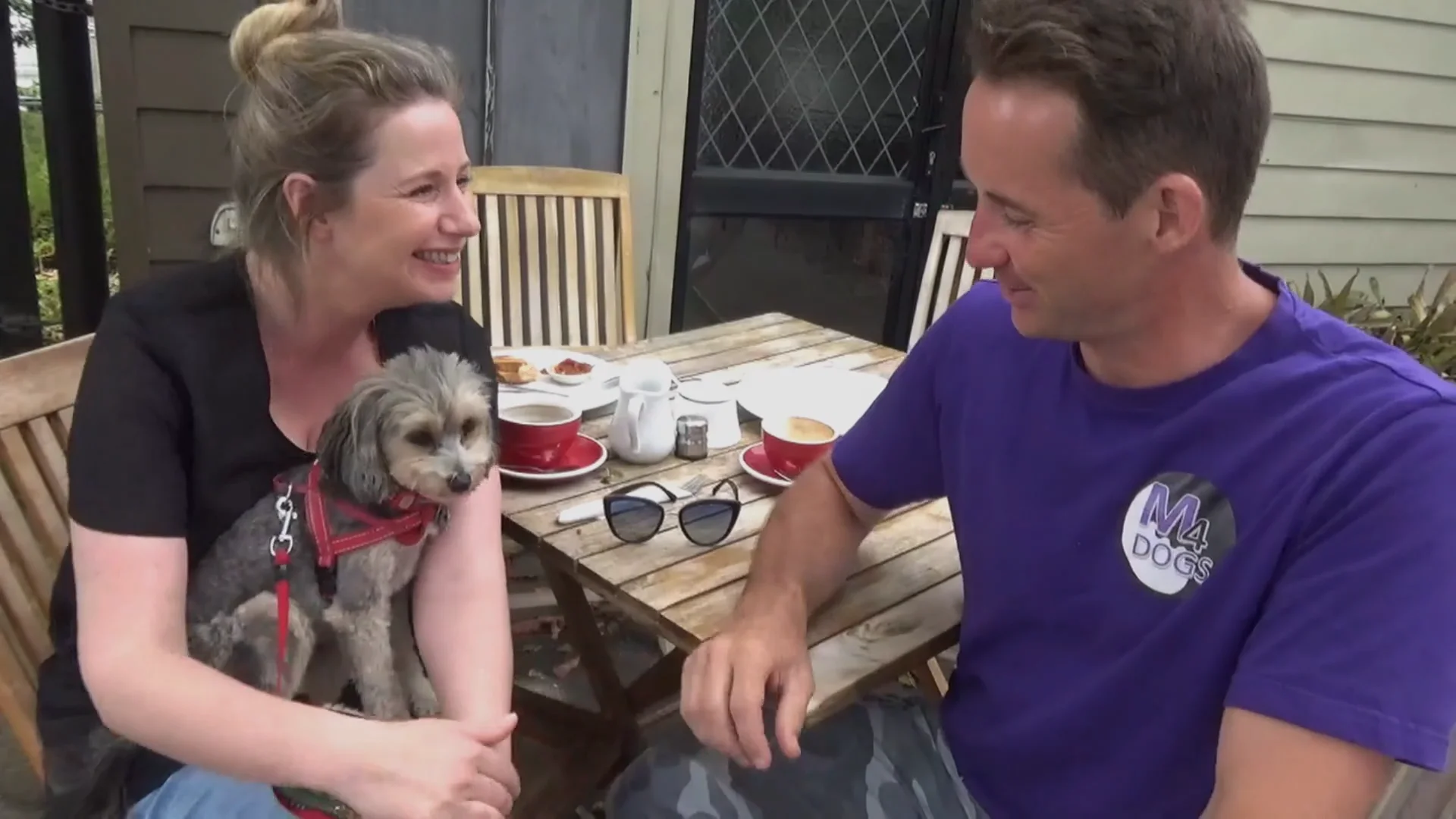 Holly Pollock and Tilly train with Mindfulness4dogs on Vimeo