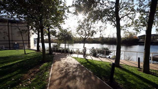 Gallery - Regenology