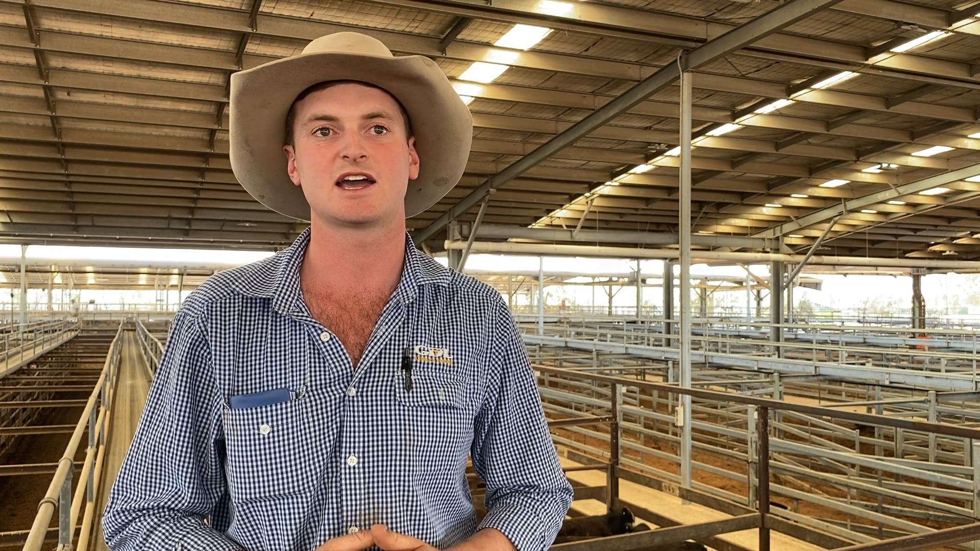 Dalby Market Report 04/12/19 | Videos & Movies on Vimeo