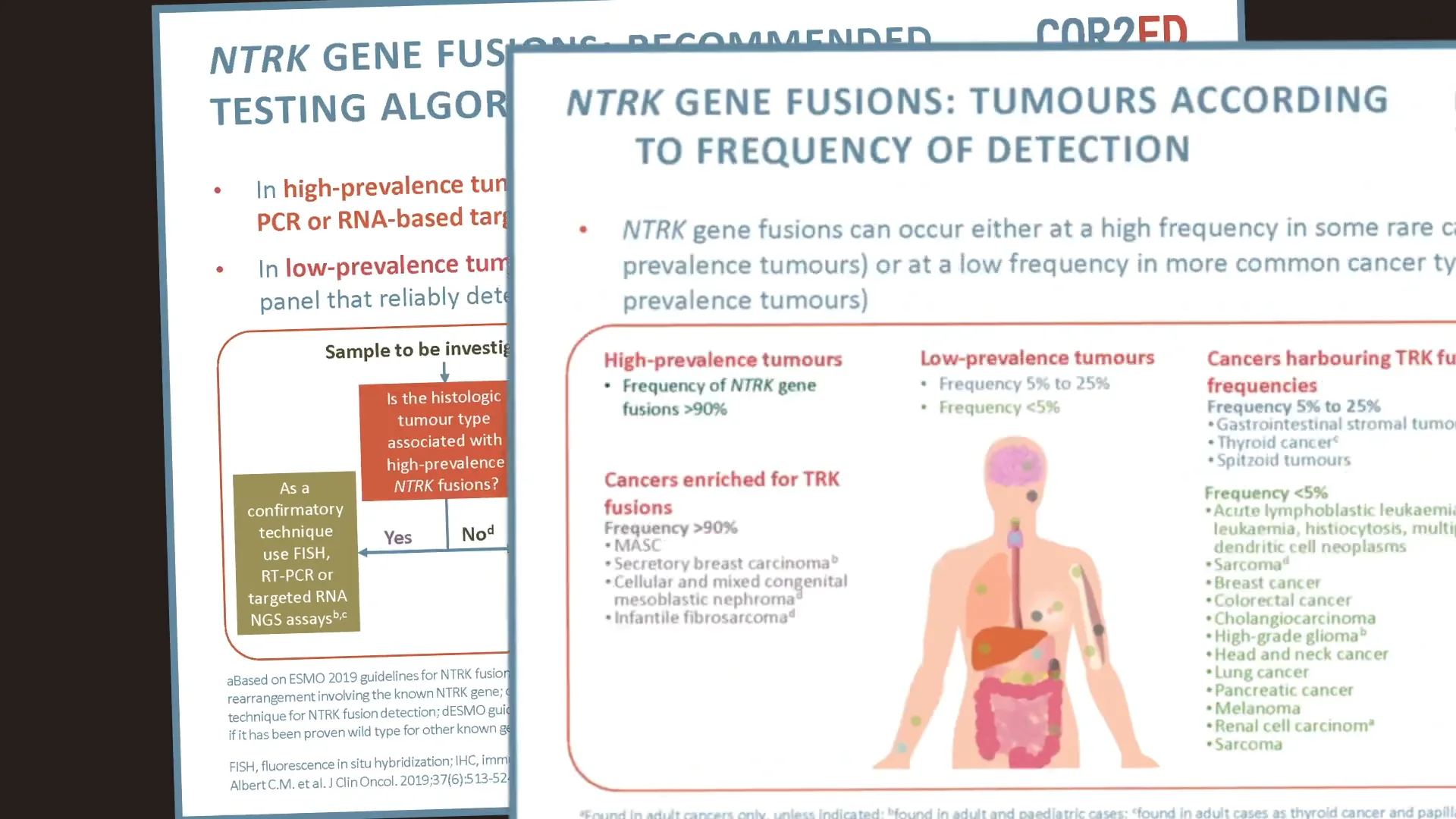 NTRK gene fusions, TRK inhibitors and testing approaches BluePrint