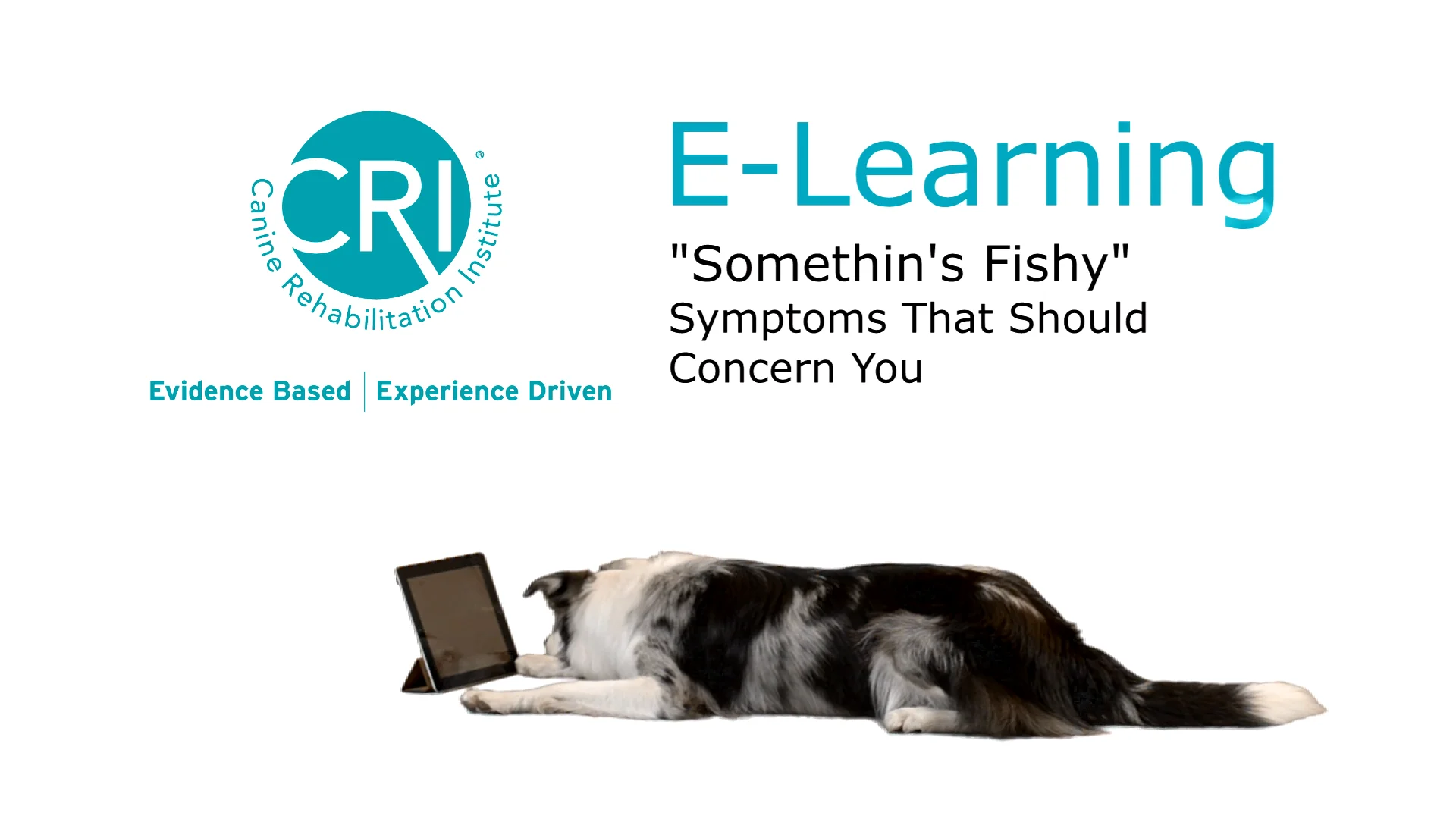 Patsy 'Somethin's Fishy' on Vimeo