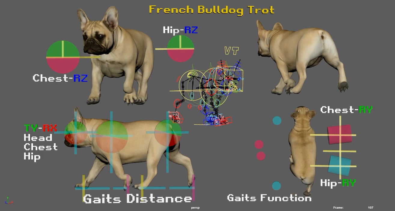 Basic Dog Trot. on Vimeo
