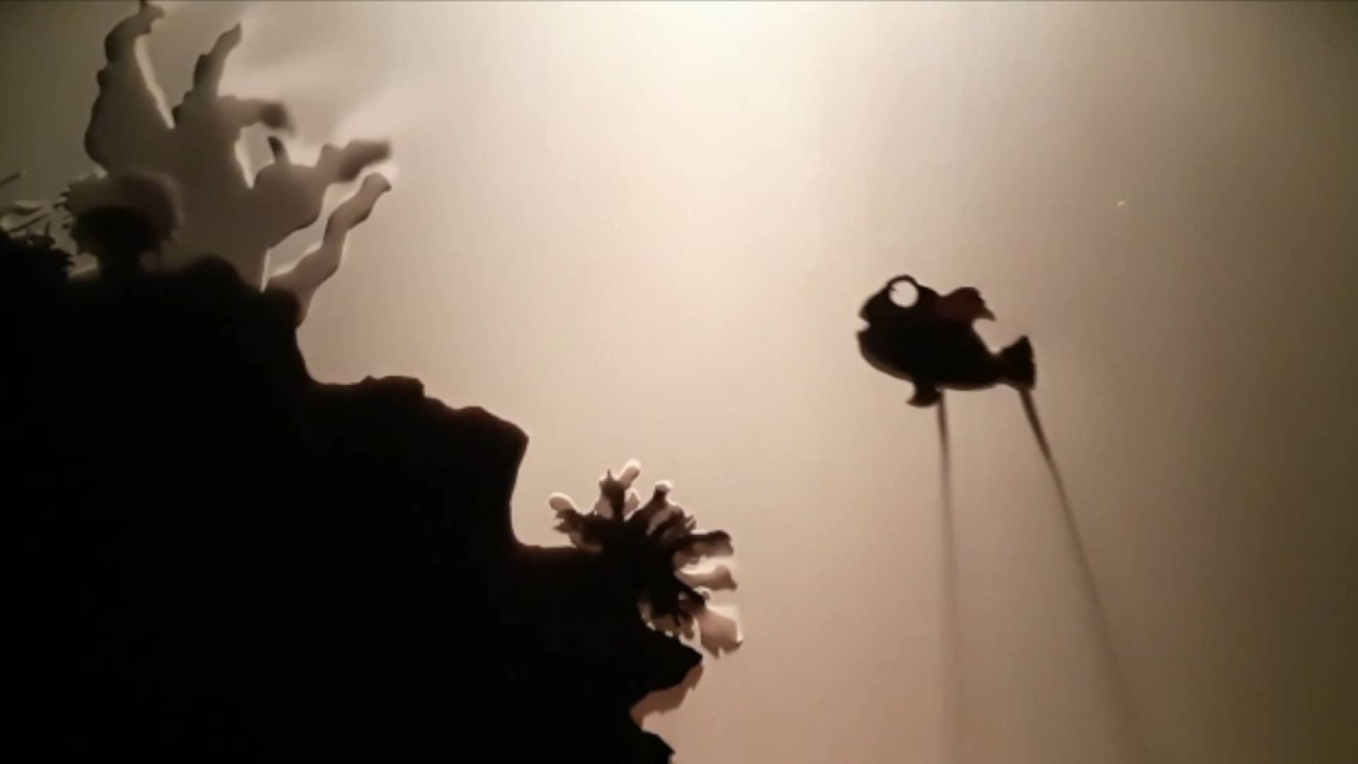 SLOK (4+) - trailer on Vimeo