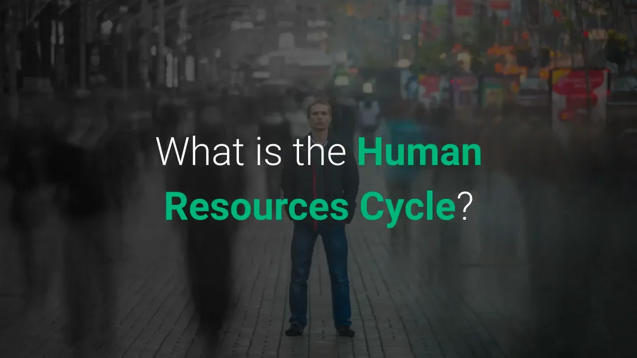 Comparison of the different HR cycles