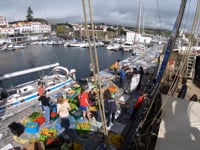 About Class Afloat - Class Afloat