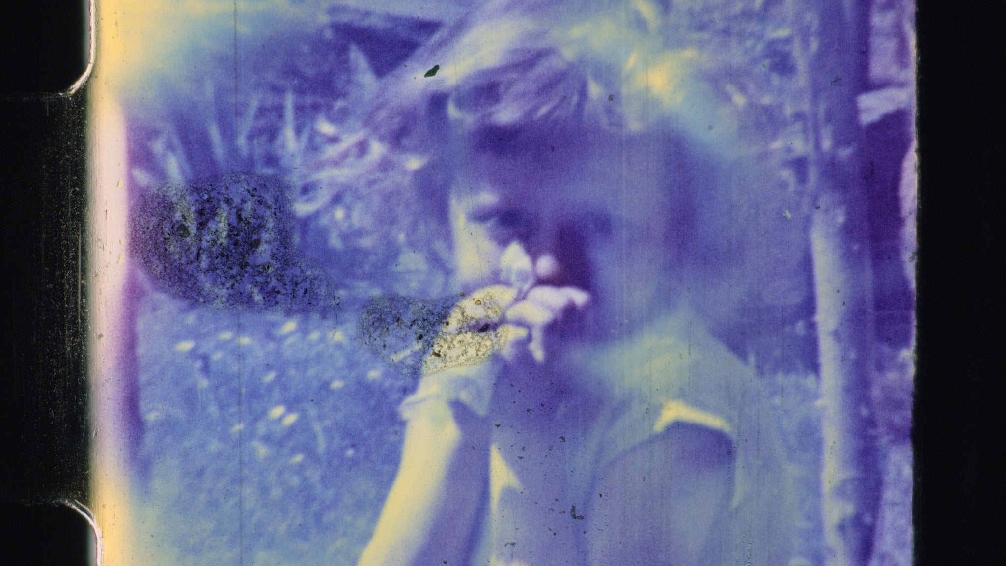 Watch Atoosa Pour Hosseini Celluloid Works (Vol One) Online | Vimeo On ...