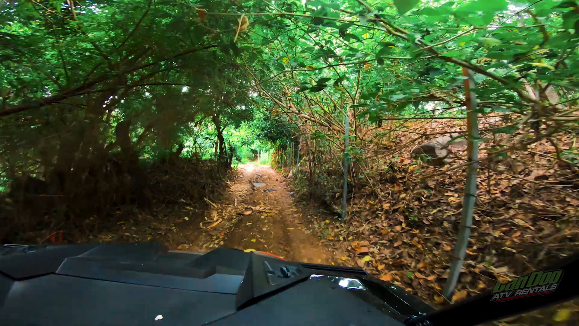 Candoo Experience on Vimeo