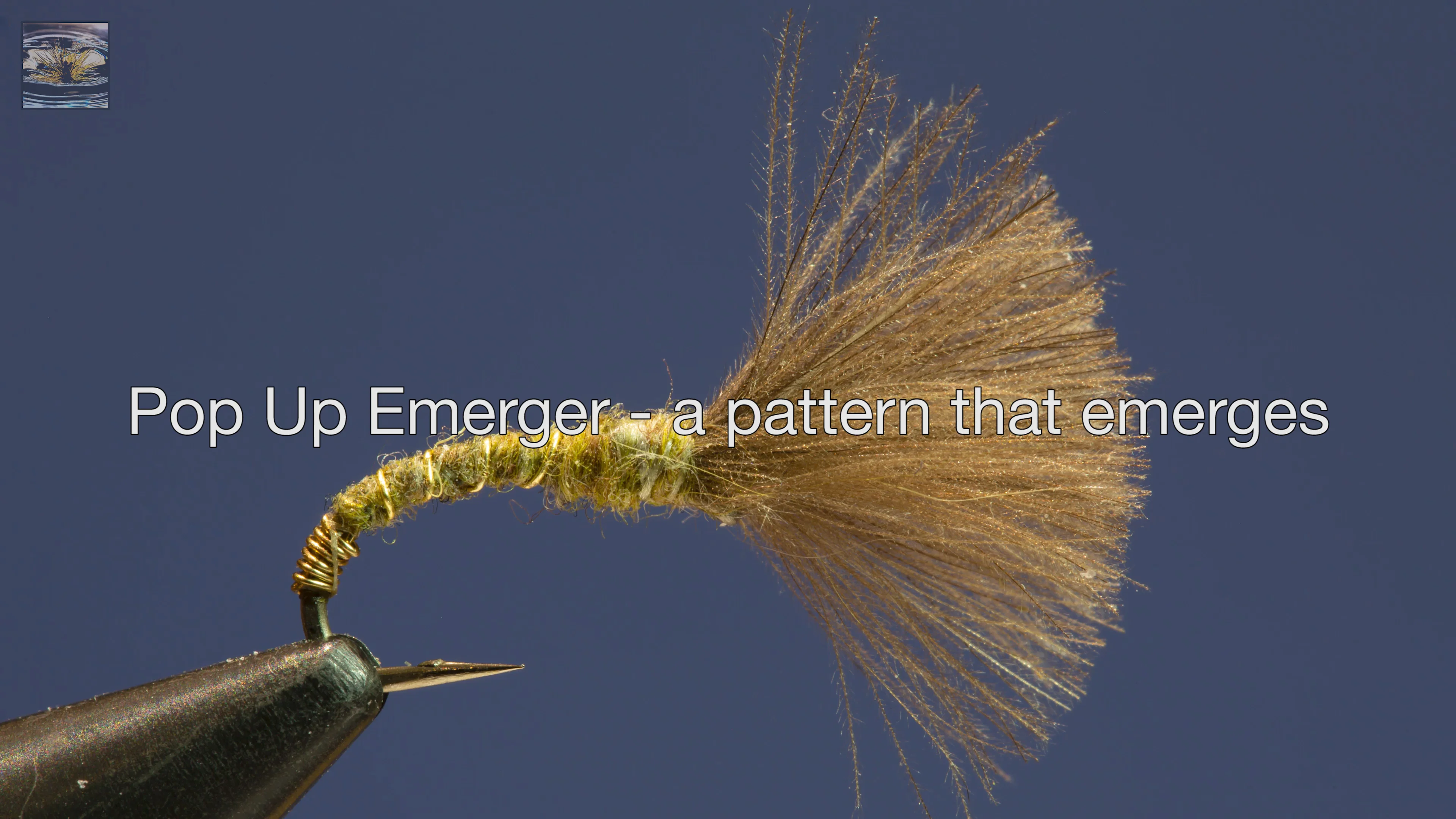 Pop Up Emerger a pattern that emerges on Vimeo