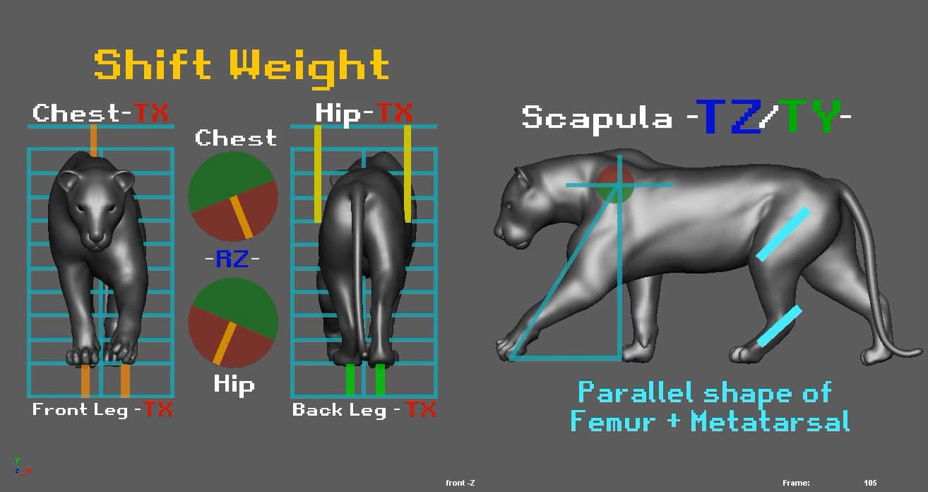 Basic Lion Walk. on Vimeo