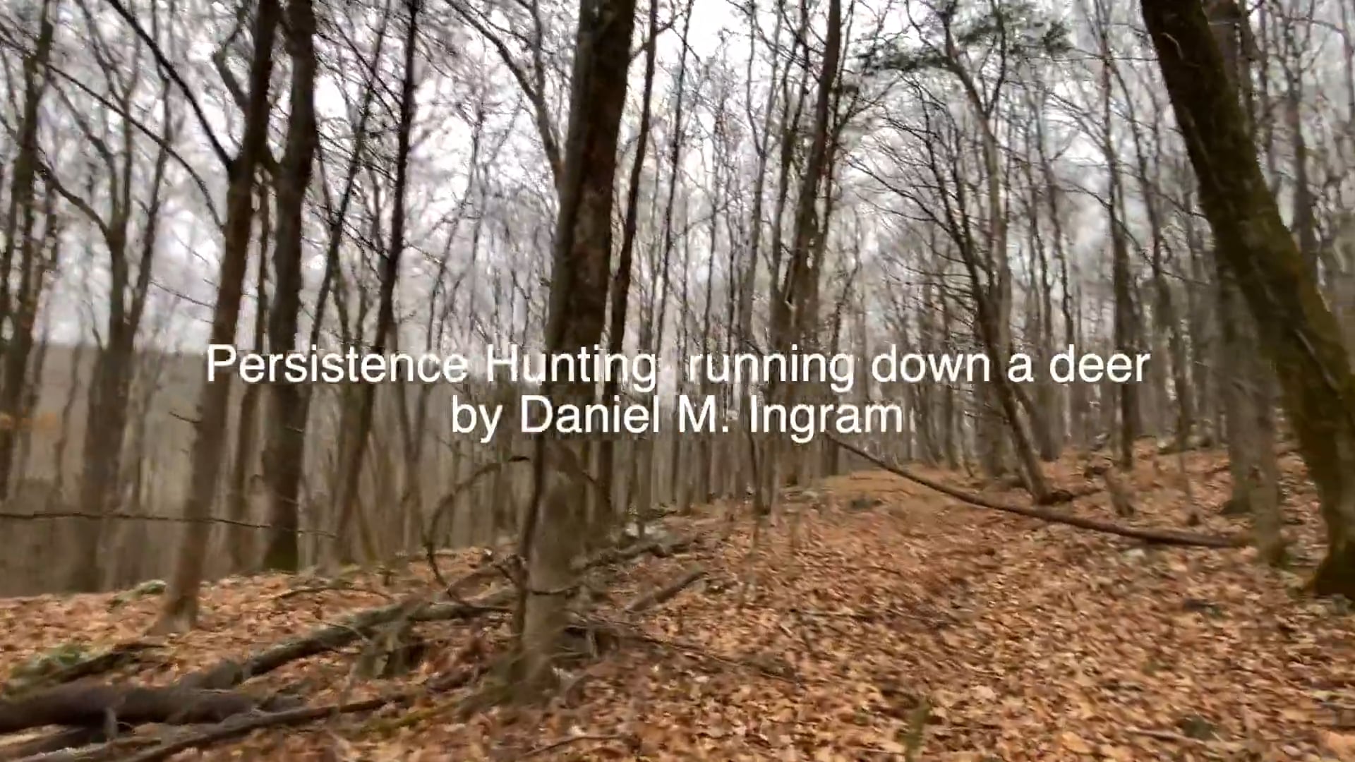 Persistence Hunting, Running Down a Deer on Vimeo