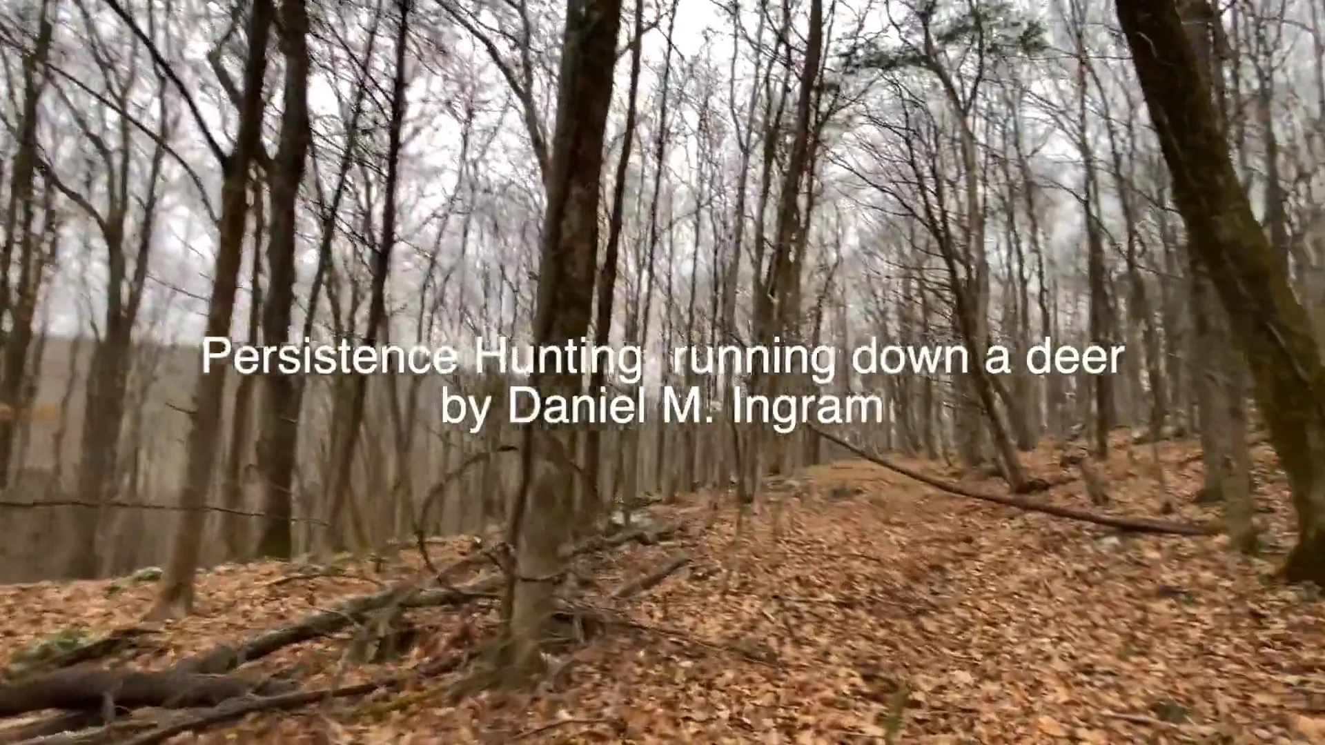 Persistence Hunting, Running Down a Deer on Vimeo