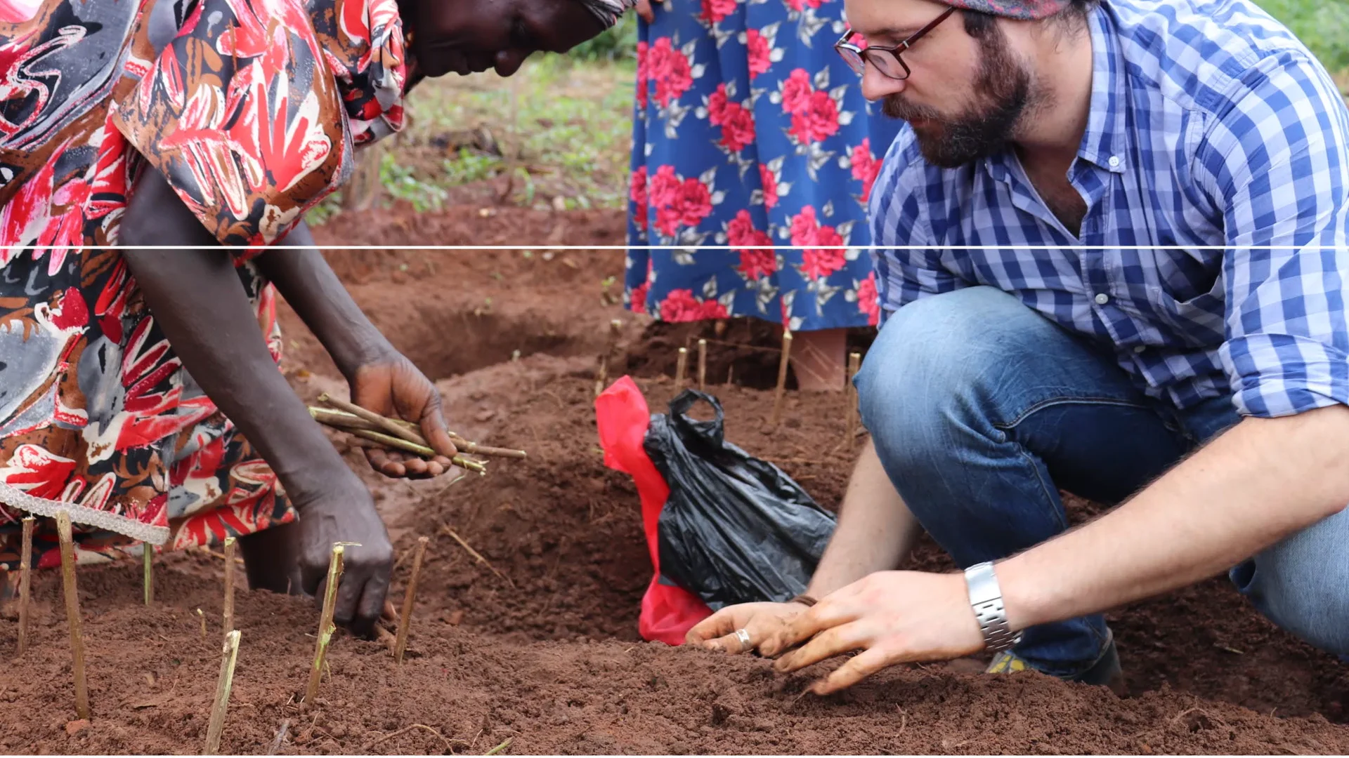 Well Said Media: Physical Sciences - Cornell CALS MPS: Global Development on Vimeo