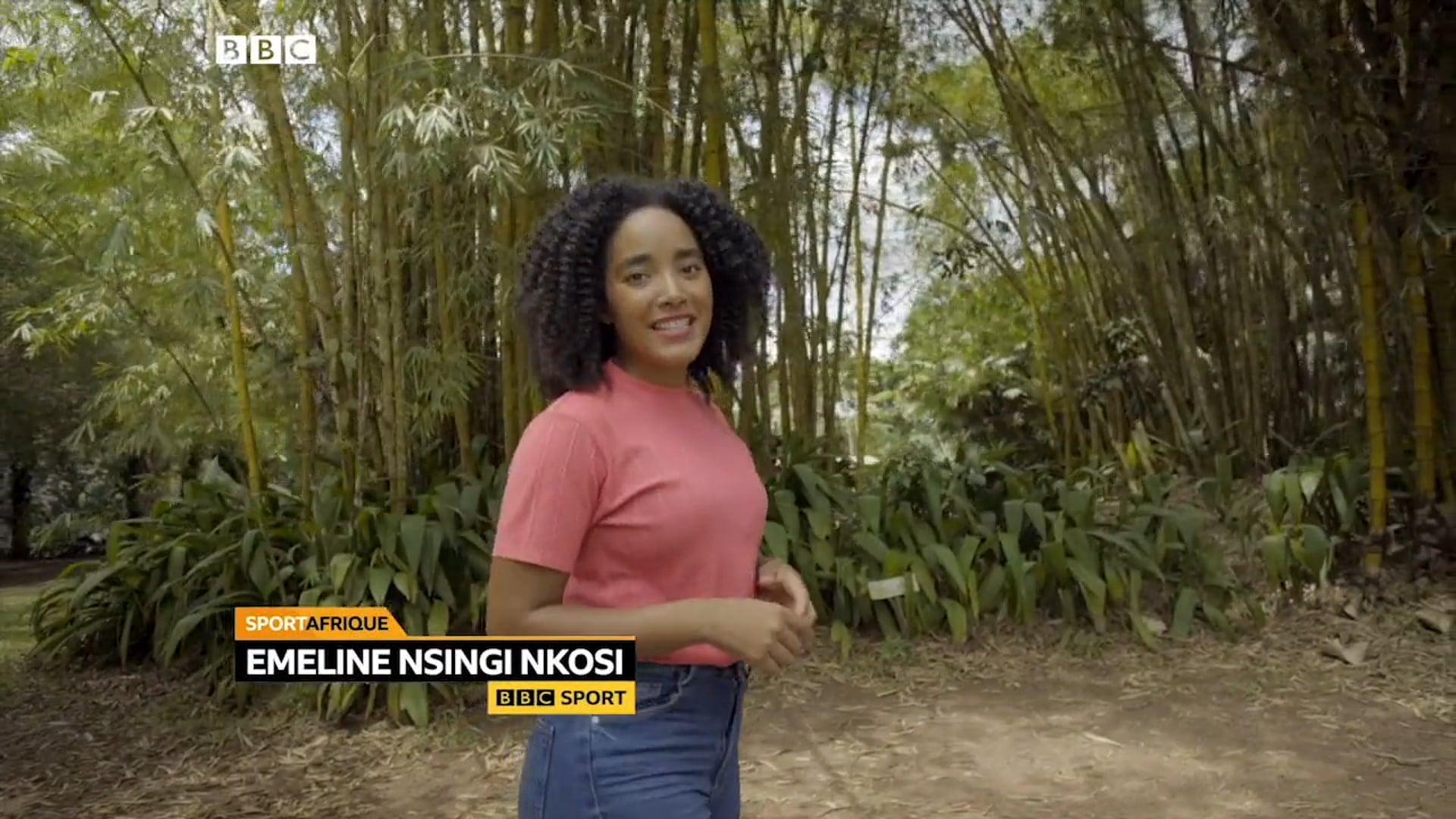 WORK | emelinepresenter