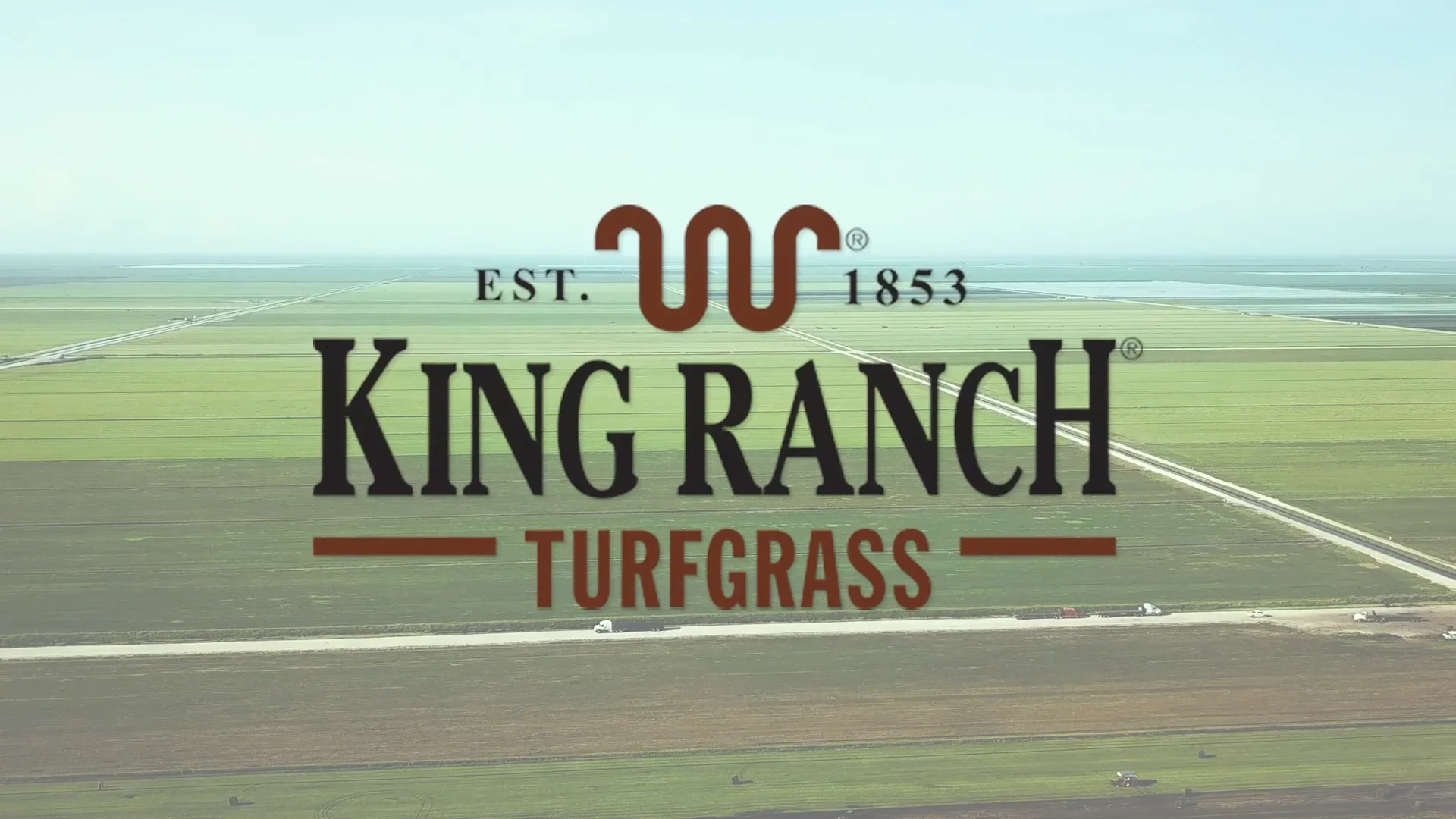 King Ranch Florida Turfgrass DD Farm Belle Glade on Vimeo