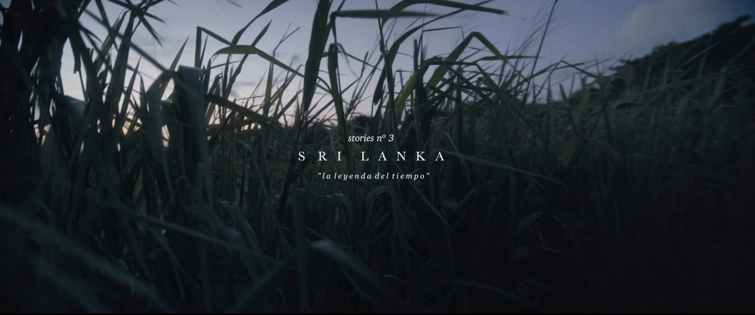 "The Legend Of Time" Travelface Stories