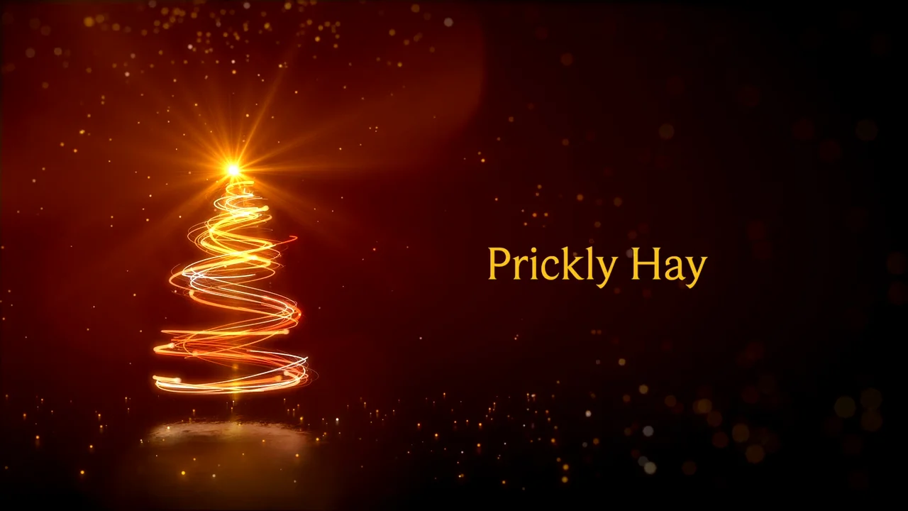 Watch Loreto Prep School Nativity 2019 - Prickly Hay Online | Vimeo On ...