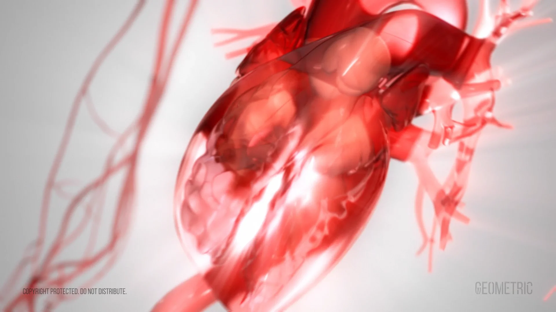Cardiovascular 3D animation by Geometric Medical on Vimeo