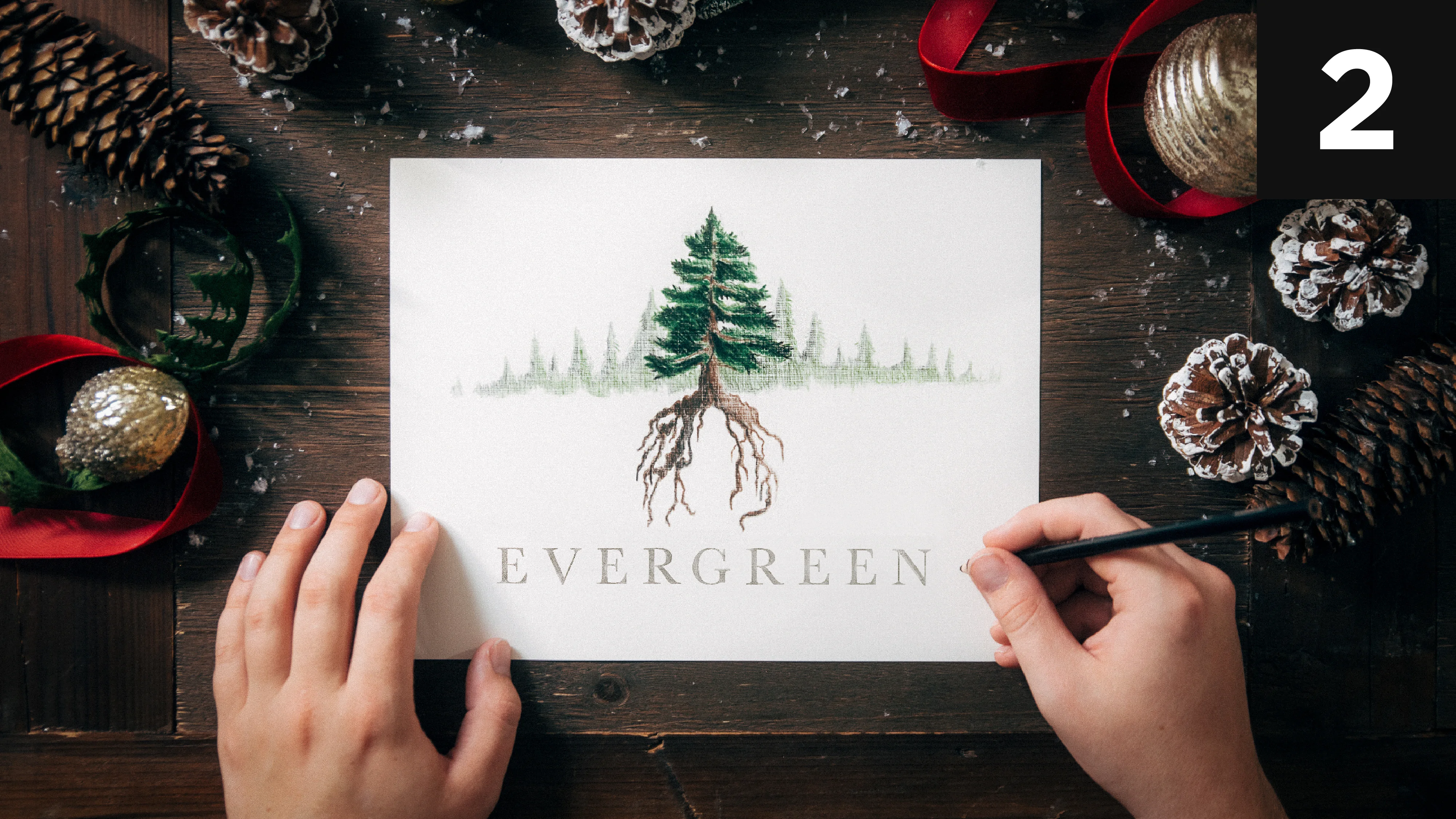 Evergreen Week 2 on Vimeo