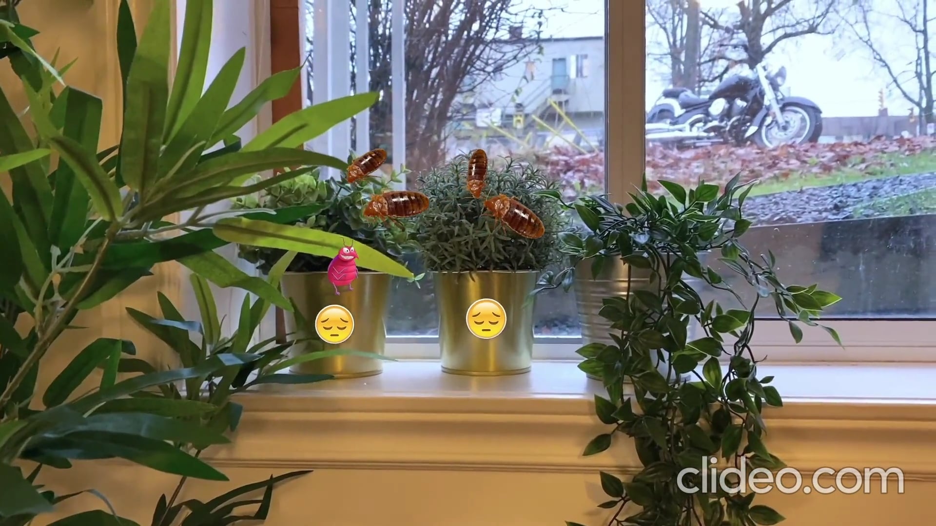 Bug Diffuser Video Prototype on Vimeo