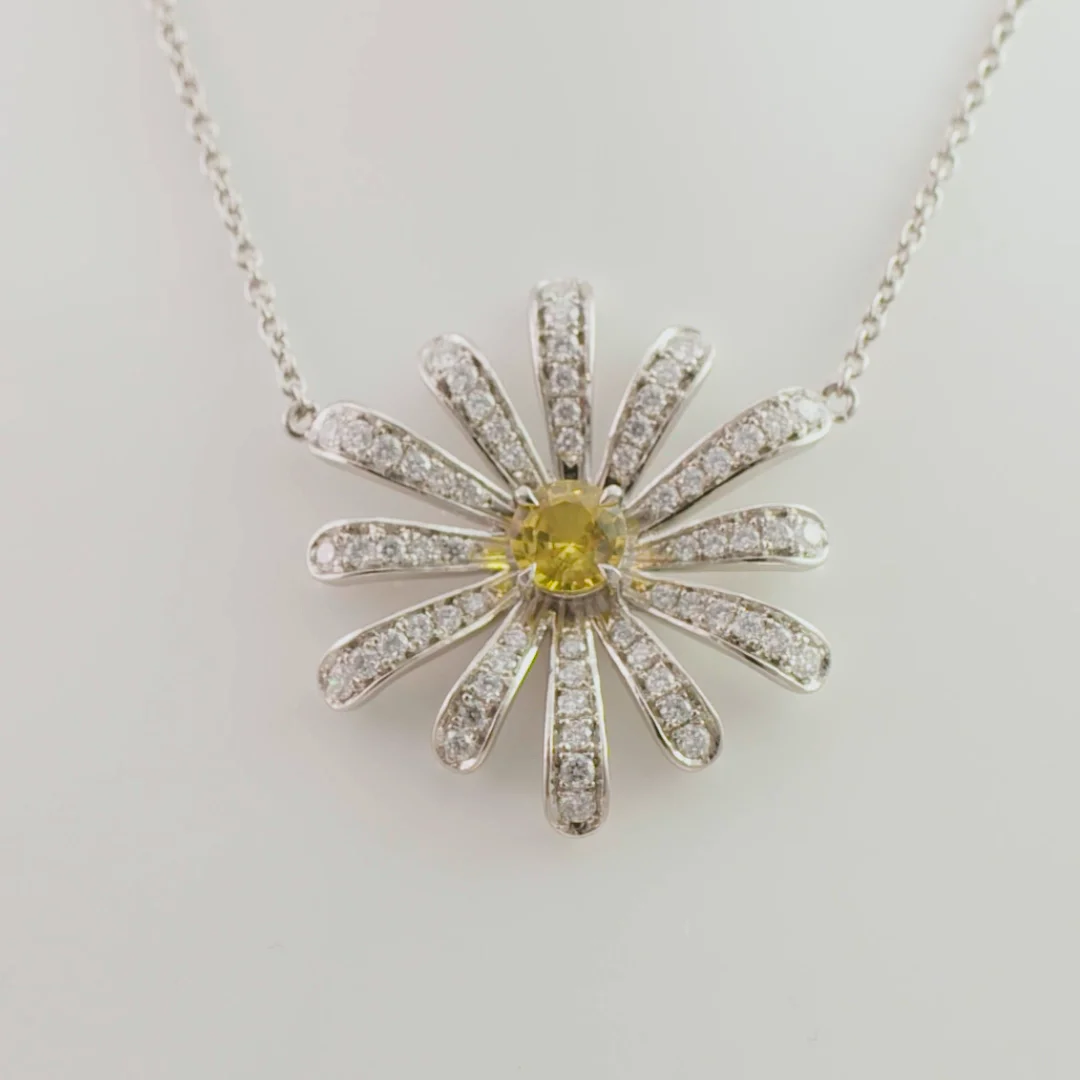 DAISY SHORT VIDEO on Vimeo