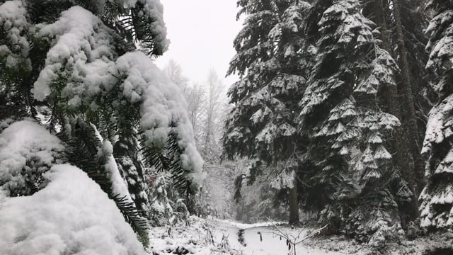 South, Snow, Winter. Free Stock Video - Pixabay