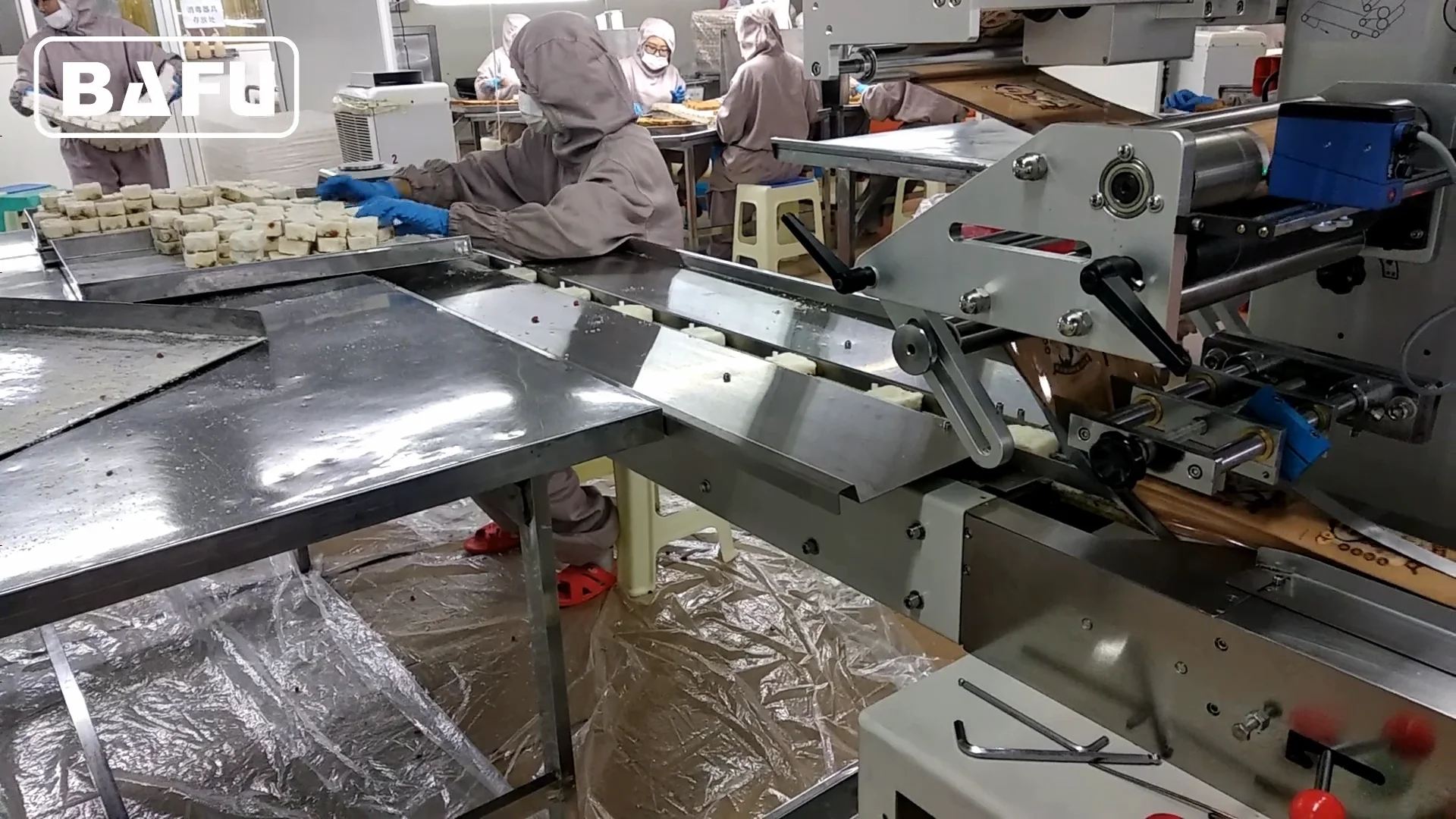 freeze-dried foods packaging machine,vegetable block packaging machine ...