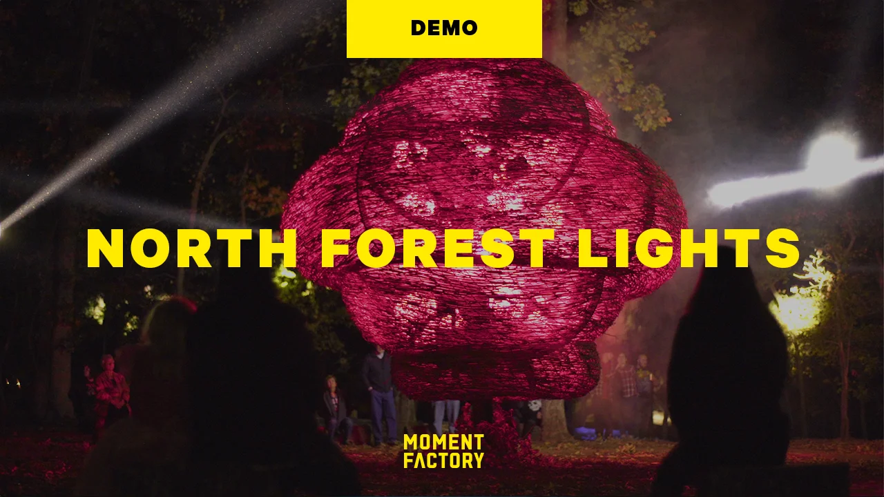 North Forest Lights, immersive light and sound installations in the forest