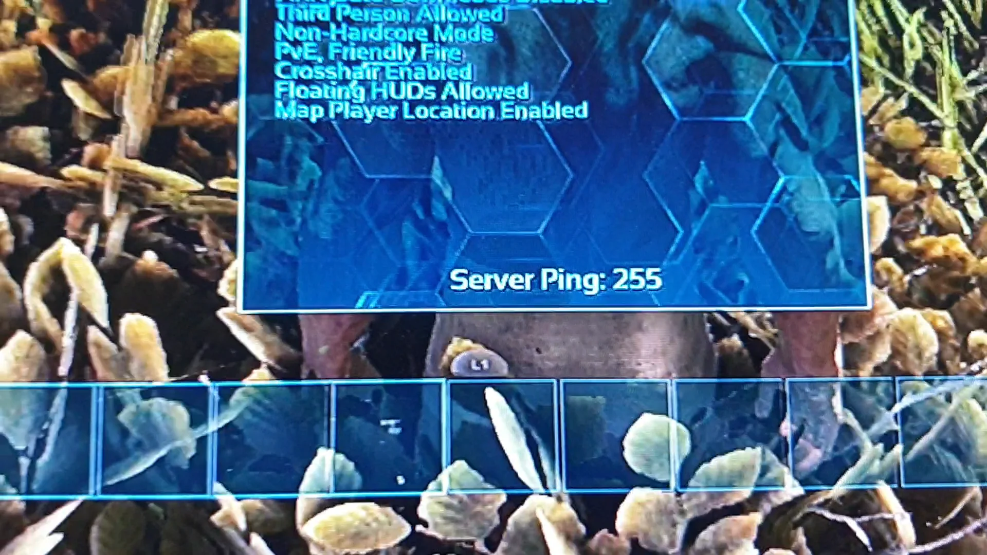 Ark ddos lifter tool on Vimeo