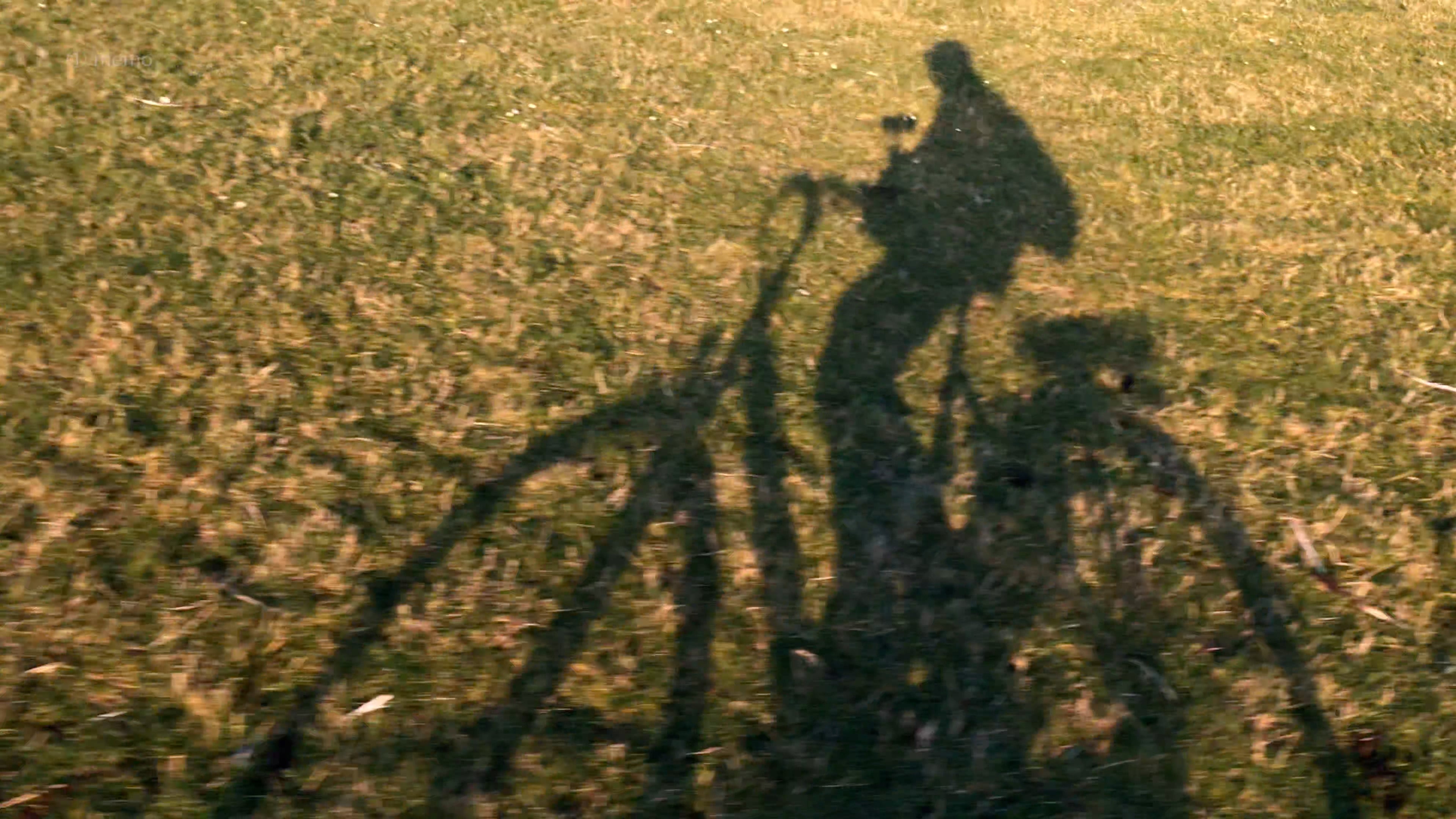 20191228 ~ Dike Bike Ride on Vimeo