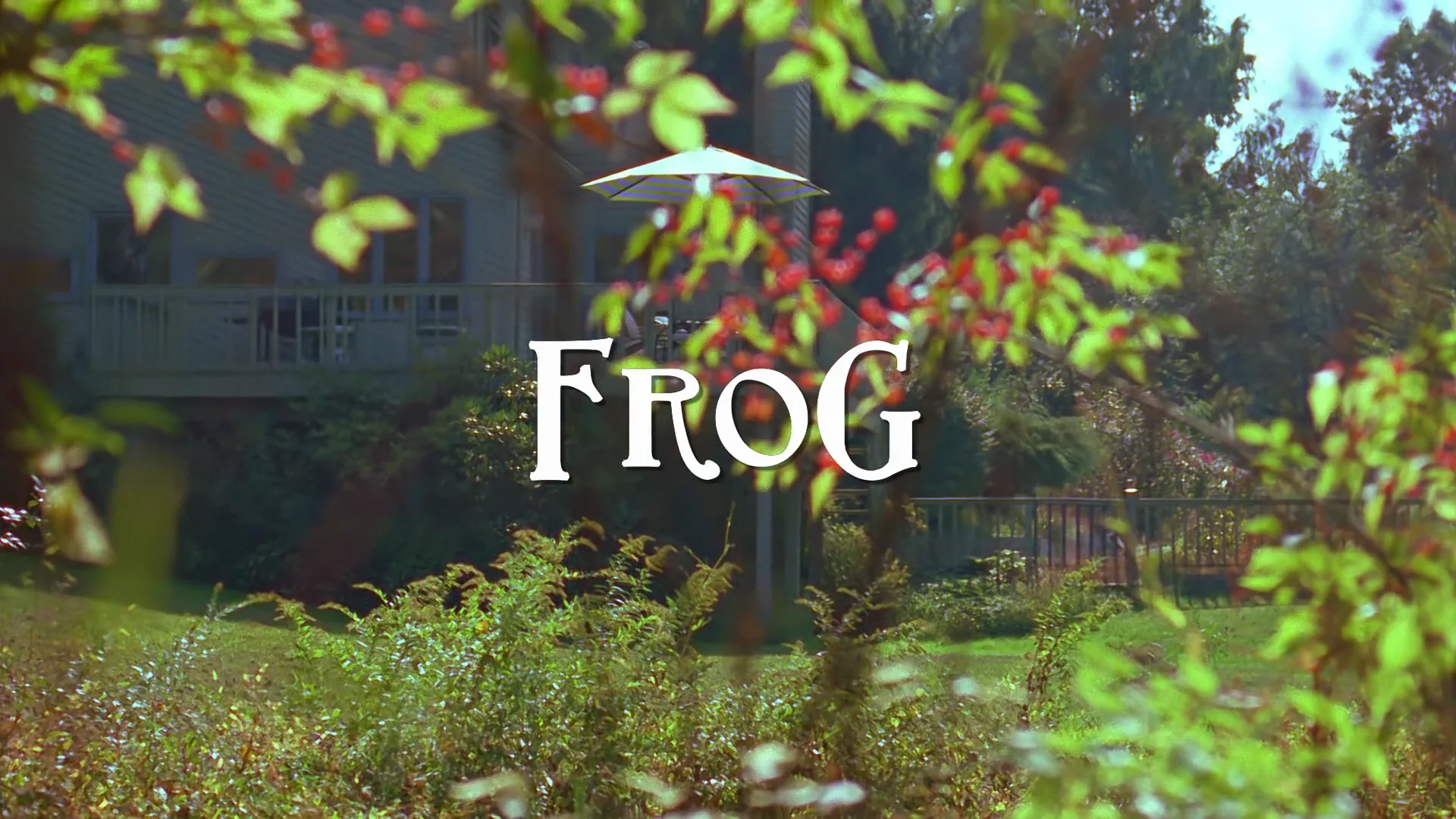 FROG on Vimeo