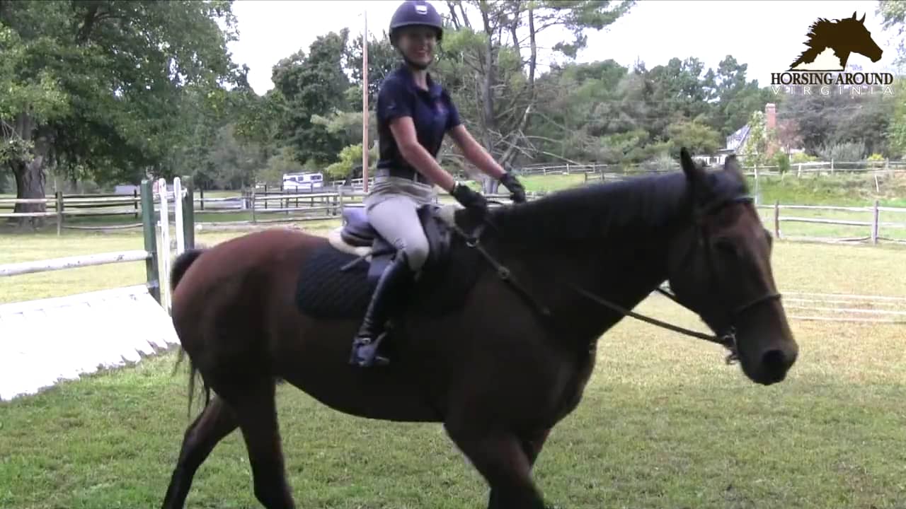 Show jumping with Olympic hopeful Sandra Zimmerli on Vimeo