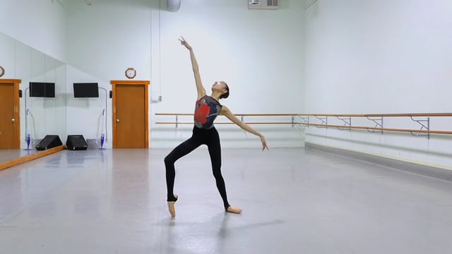 Barnard Dance Portfolio