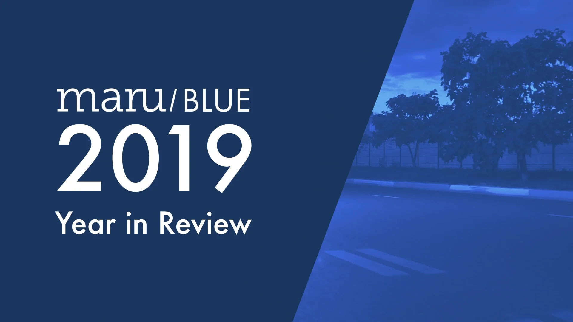 Maru/Blue 2019 Year in Review on Vimeo