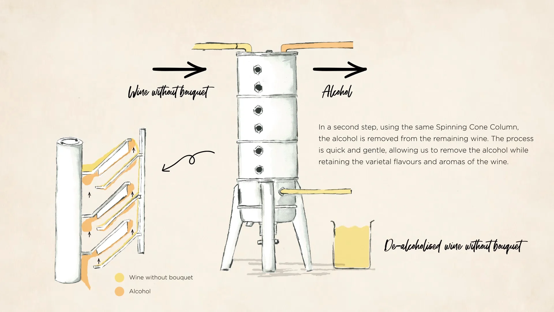EDV - Animation Explainer on Vimeo
