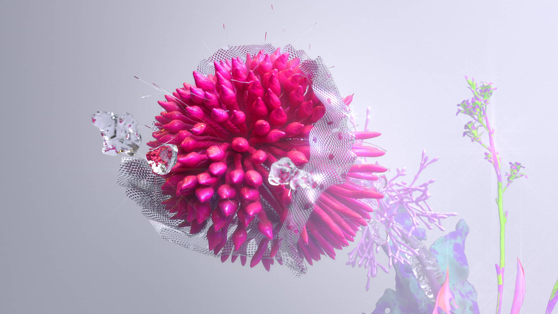 Strange Spring on Vimeo