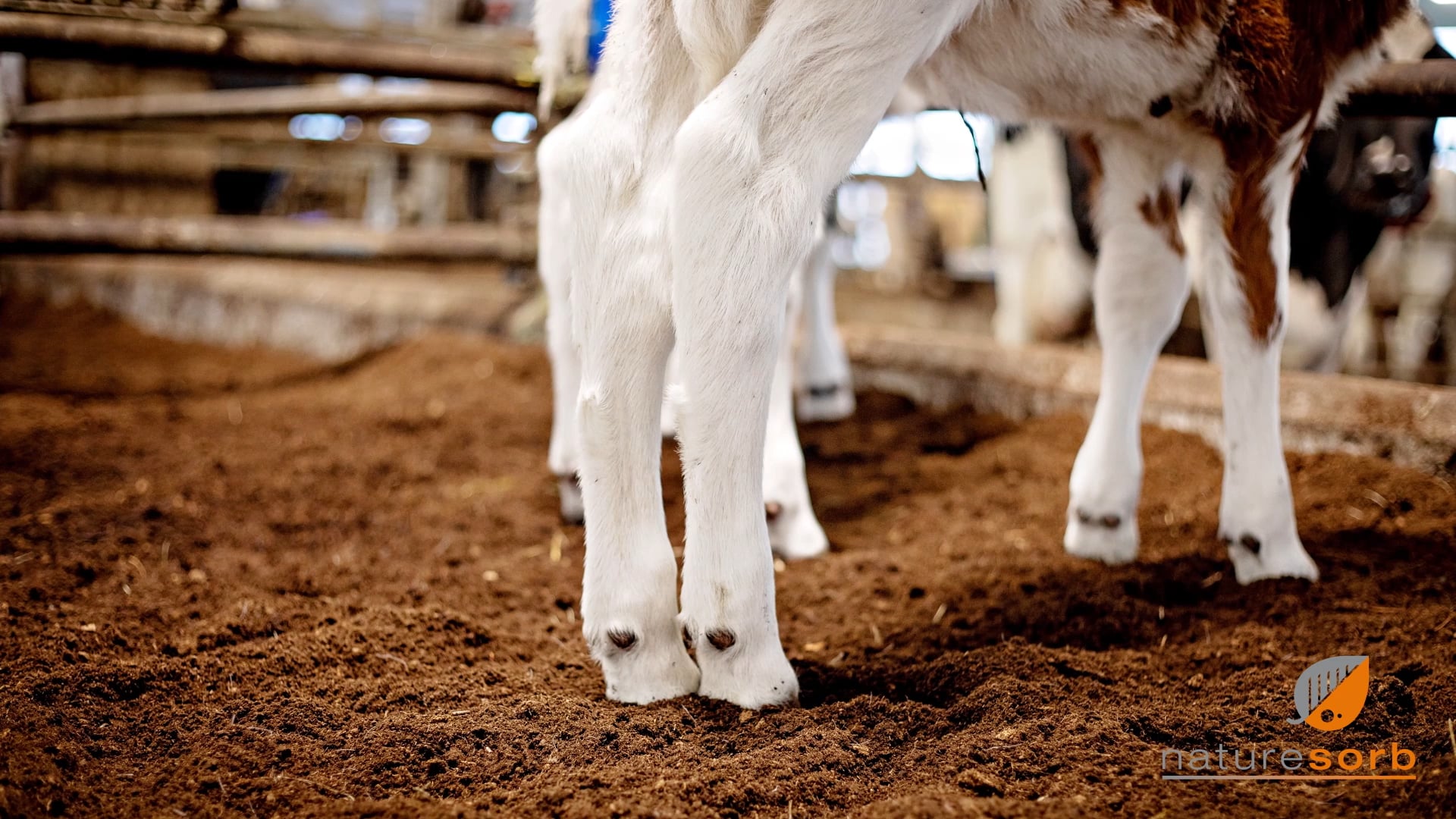 Naturesorb - Diaporama on Vimeo