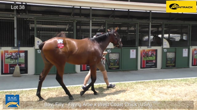 Flying Artie x West Coast Chick 2018 filly on Vimeo